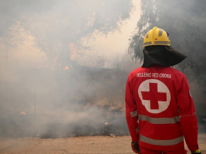 Prvi veliki ovogodišnji požar u Grčkoj - 24sata.info